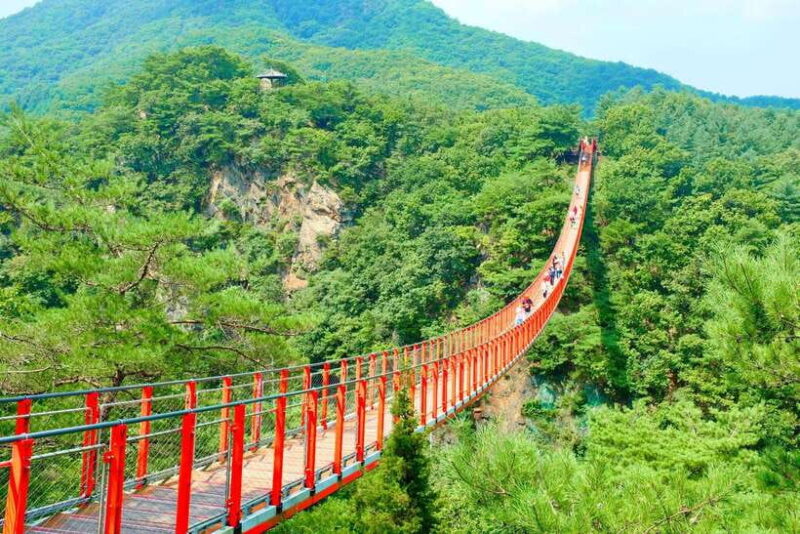 From Seoul: DMZ The 3rd Tunnel and Suspension Bridge Tour - Key Points