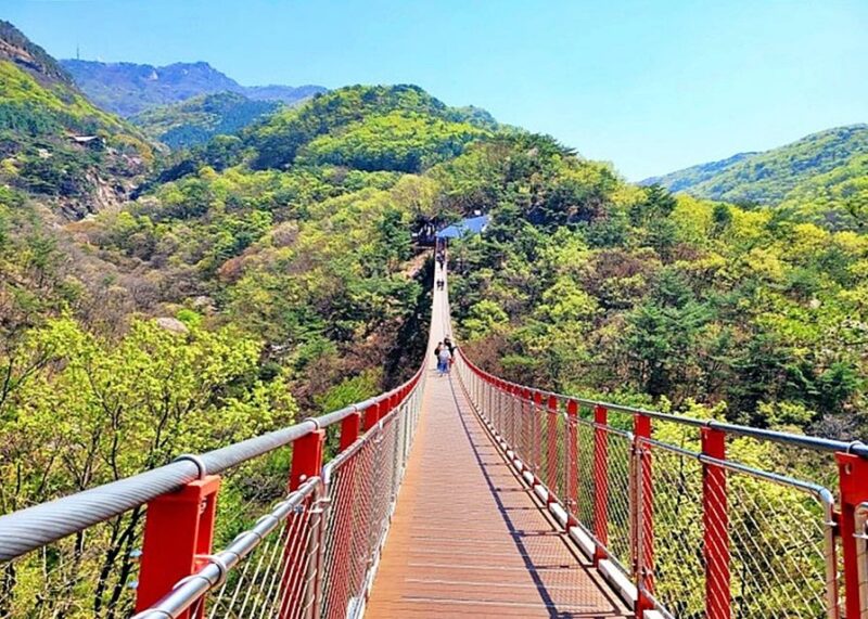 From Seoul: DMZ Tour with Optional Heroes Suspension Bridge - The Value of This Tour