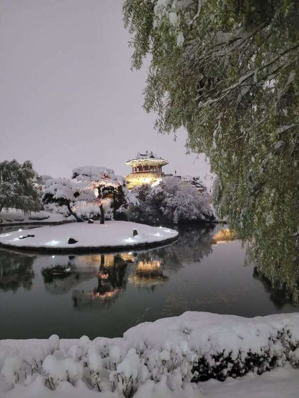 From Seoul: Evening Tour to UNESCO Suwon Hwaseong Fortress - The Sum Up