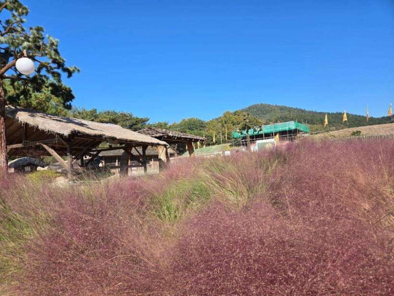 From Seoul: Gongju and Buyeo 2-Day Tour with Accommodation - Practical Details and What It Means for Travelers