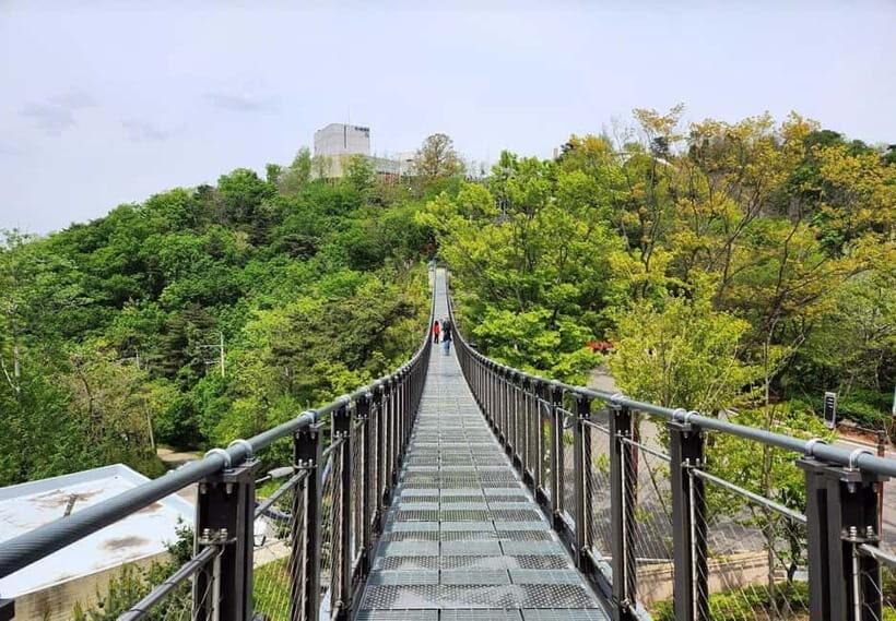 From Seoul: Guided Day Trip to Aegibong Ecological Park - Key Points