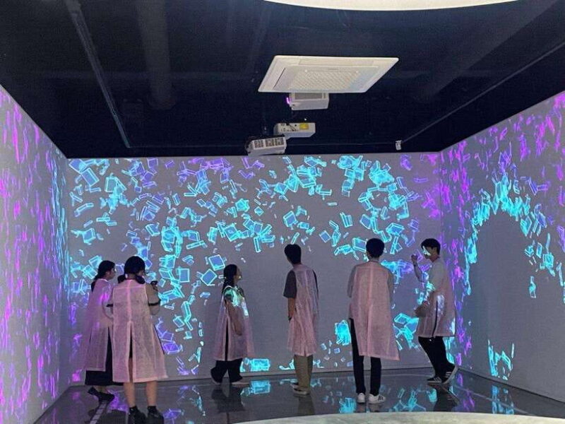 From Seoul: Guided Day Trip to Pocheon - In-Depth Look at What You’ll Experience