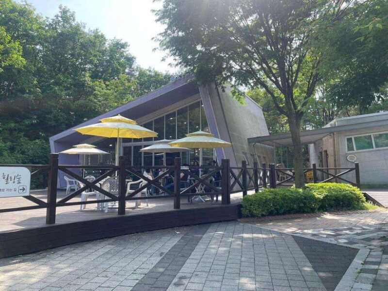 From Seoul: Guided Day Trip to Pocheon - Who Will Love This Tour?