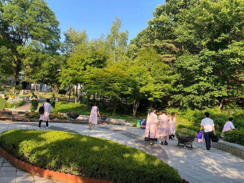 From Seoul: Guided Day Trip to Pocheon - Final Thoughts