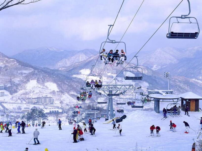 From Seoul: Korea Ski Tour - Jisan Forest Resort - What’s the Value for Money?
