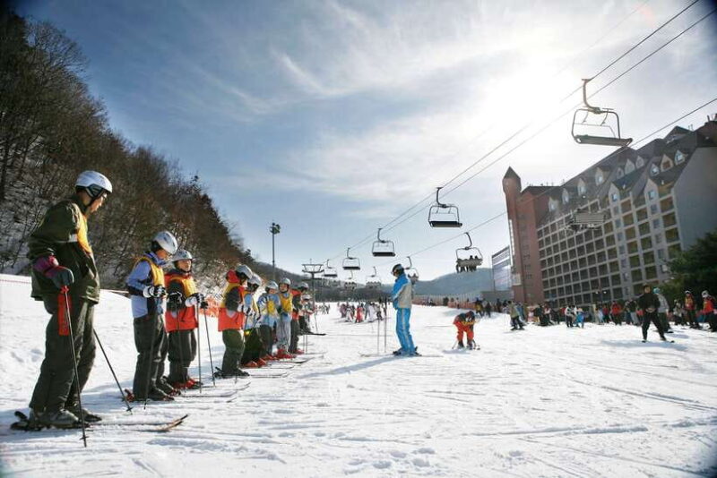 From Seoul: Korea Ski Tour - Jisan Forest Resort - Practical Tips for Travelers