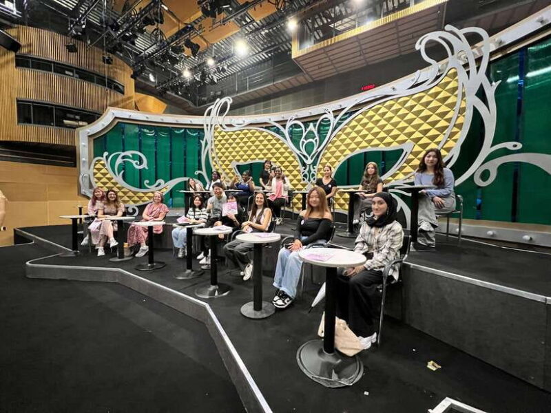 From Seoul: MBC K-Drama Studio One Day Tour (Ilsan & Sangam) - Who Will Love This Tour?