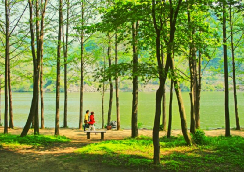 From Seoul: Nami Island, Korean Garden & Rail Bike Day Trip - FAQ