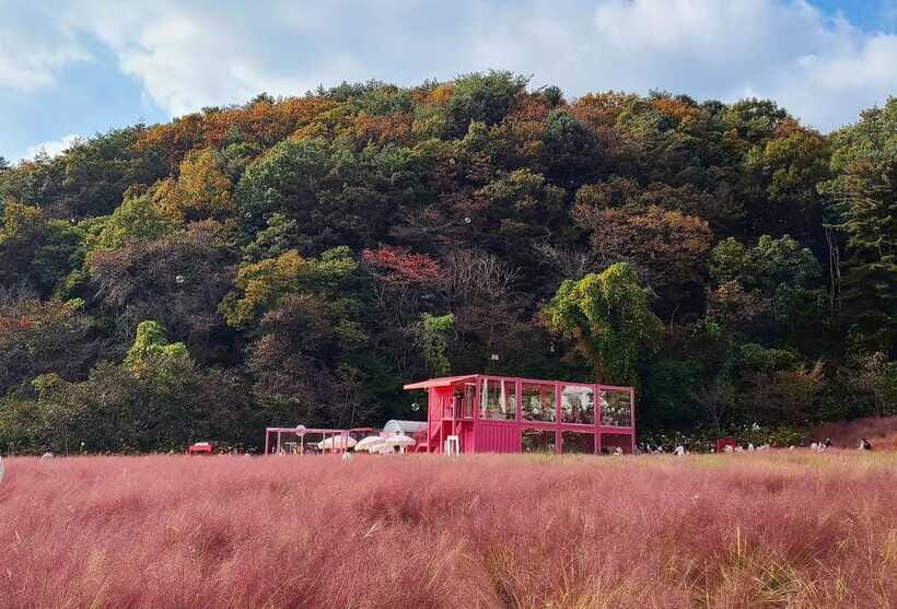 From Seoul: Pocheon, Sanjung Lake and Bidulginang Fall Trip - Who Should Consider This Tour?