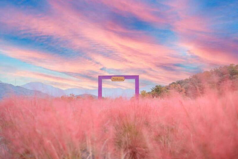 From Seoul: Pocheon, Sanjung Lake and Bidulginang Fall Trip - Key Points