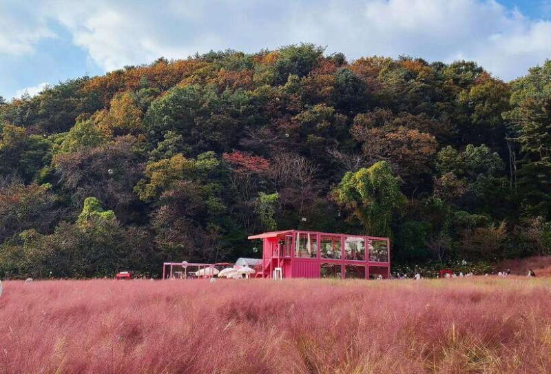 From Seoul: Pocheon, Sanjung Lake and Bidulginang Fall Trip - Transportation and Timing