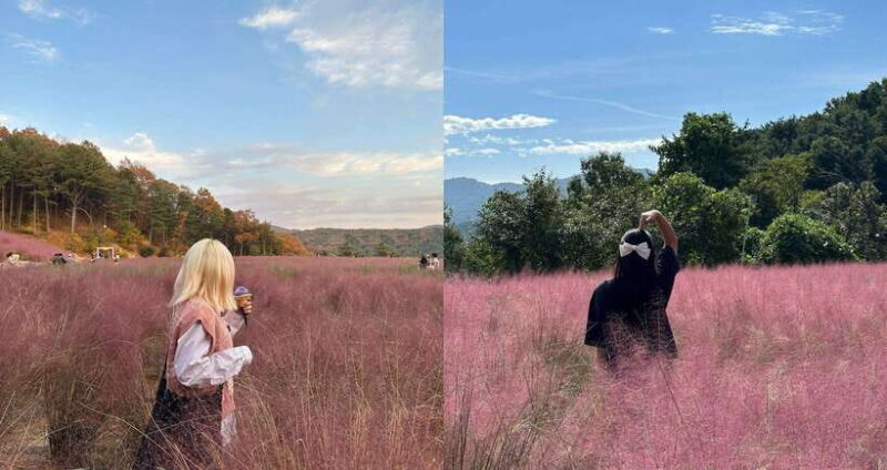 From Seoul: Pocheon, Sanjung Lake and Bidulginang Fall Trip - Guides and Group Size