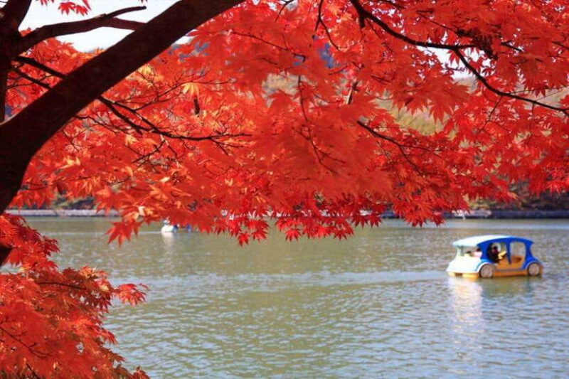 From Seoul: Pocheon, Sanjung Lake and Bidulginang Fall Trip - Final Thoughts: Who Should Take This Tour?