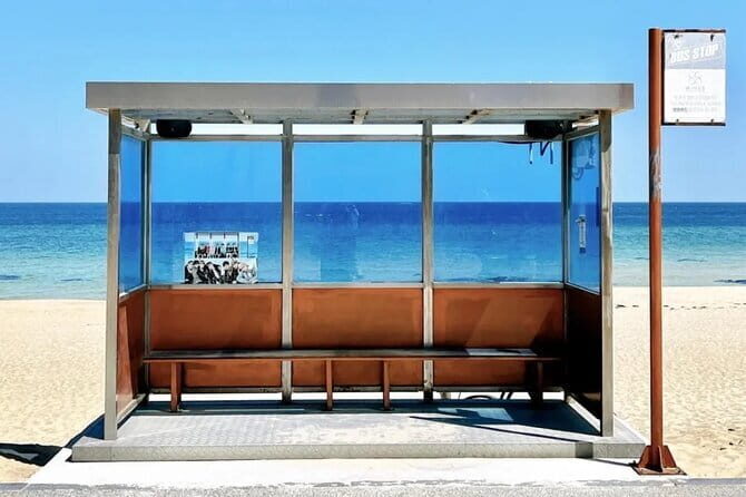 From Seoul: Private Day Tour to Gangneung - Final Thoughts: Who Will Love This Tour?