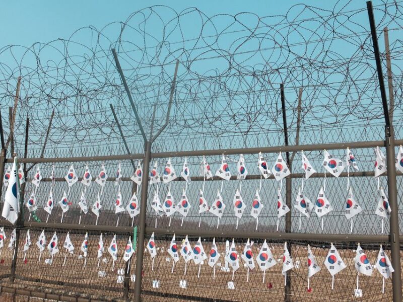 From Seoul: Private DMZ and Odusan Observatory Full-Day Tour - Key Points