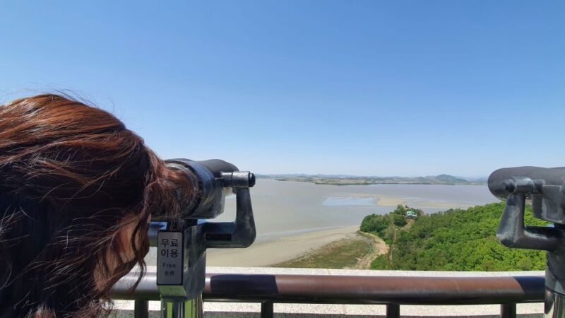 From Seoul: Private DMZ and Odusan Observatory Full-Day Tour - What Makes This Tour Stand Out