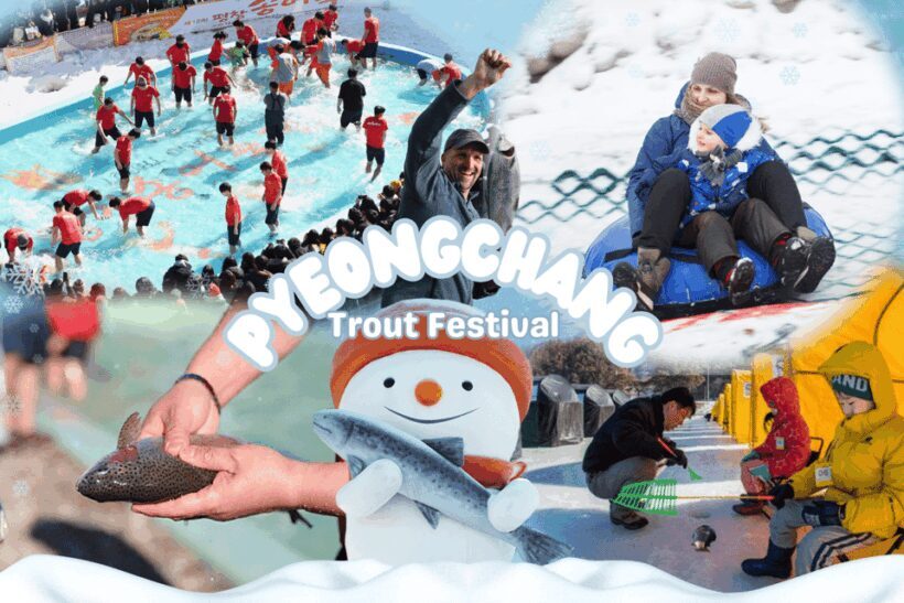 From Seoul: Pyeongchang Trout Festival - Final Thoughts: Is It Worth It?