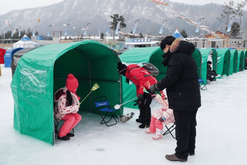From Seoul: Pyeongchang Trout Festival - FAQ