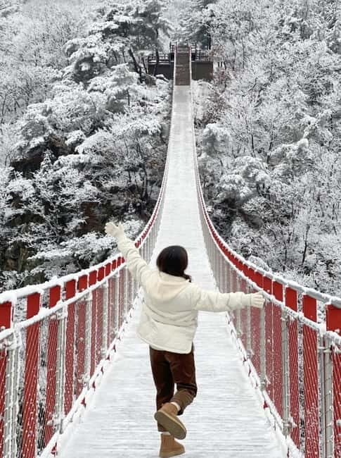 From Seoul: Romantic Winter Wonderland Tour - Overview of the Tour Experience