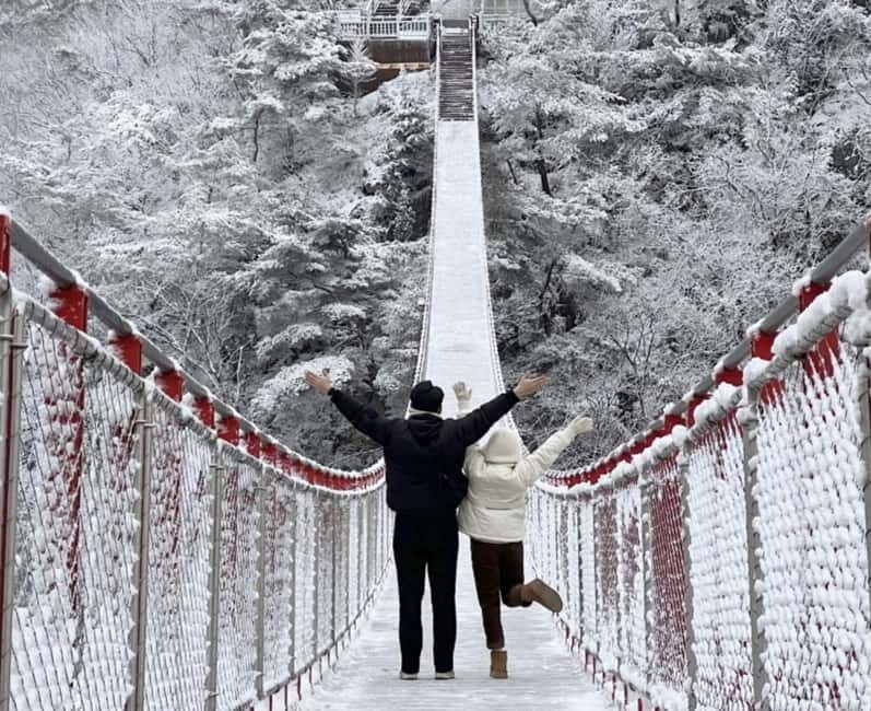 From Seoul: Romantic Winter Wonderland Tour - Practicalities and Value