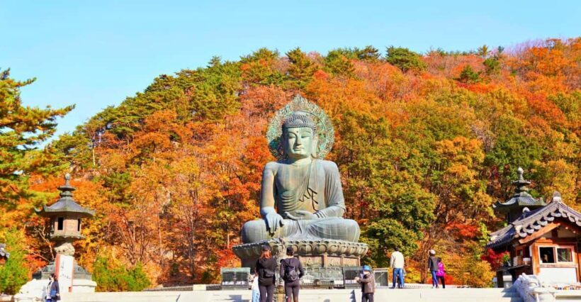 From Seoul: Seoraksan Mountain with Cable Car- Shuttle Bus - Discovering Seoraksan: An Honest Look at the Mountain with Cable Car Tour