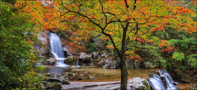 From Seoul: Seoraksan Mountain with Cable Car- Shuttle Bus - Key Points