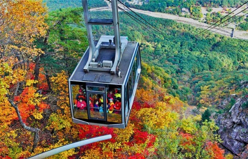 From Seoul: Seoraksan Mountain with Cable Car- Shuttle Bus - Practical Considerations and Tips