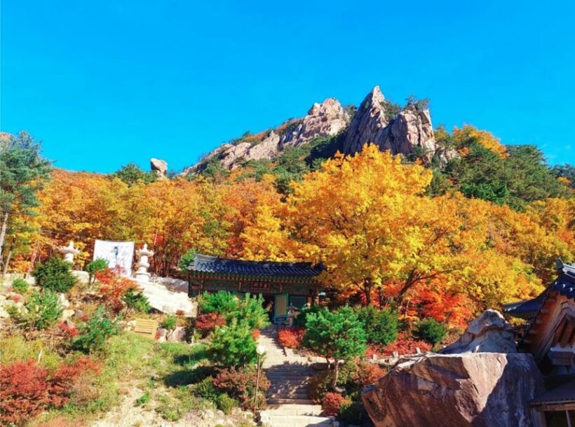 From Seoul: Seoraksan Mountain with Cable Car- Shuttle Bus - Authentic Experiences or Touristic Convenience?
