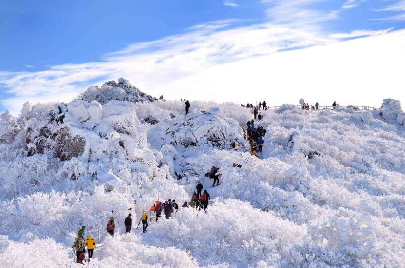 From Seoul: Snow-Capped Beauty of Deogyusan National Park - Transportation, Timing & Group Experience