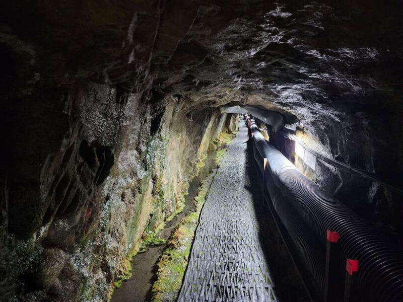 From Seoul: South Korea Demilitarized Zone Guided Tour - Who Will Love This Tour?