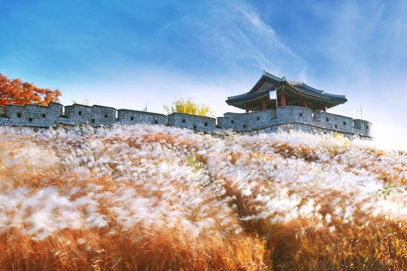 From Seoul: UNESCO Suwon Hwaseong Fortress Tour - Frequently Asked Questions
