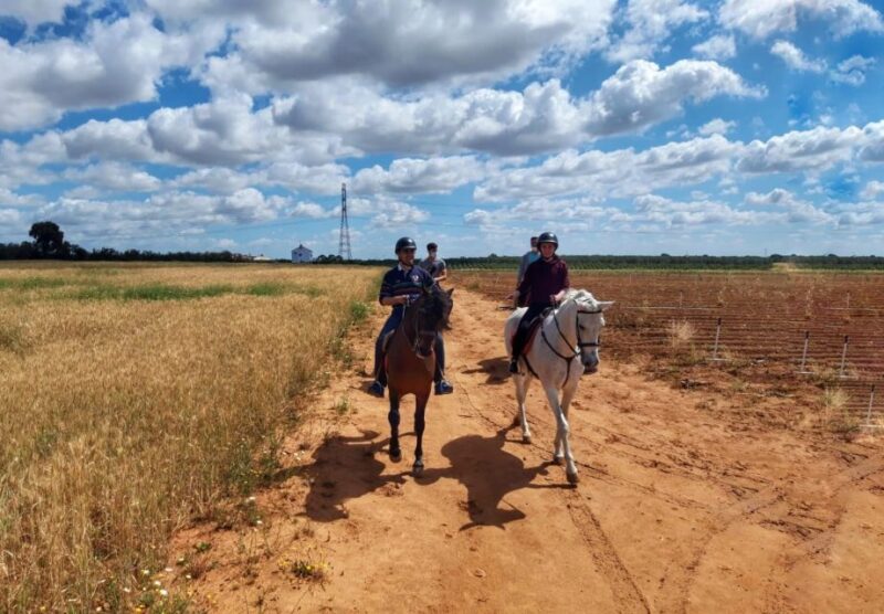 From Seville: Andalusian Horseback Ride - The Landscape and Scenery