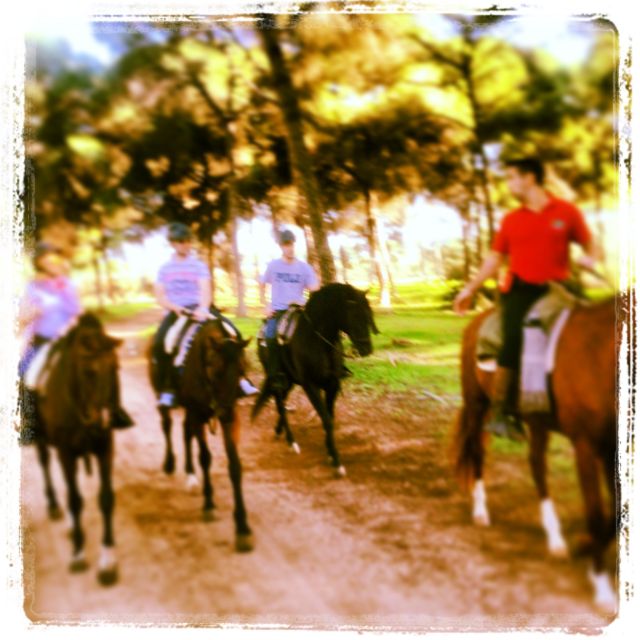 From Seville: Andalusian Horseback Ride - Value and Cost Analysis