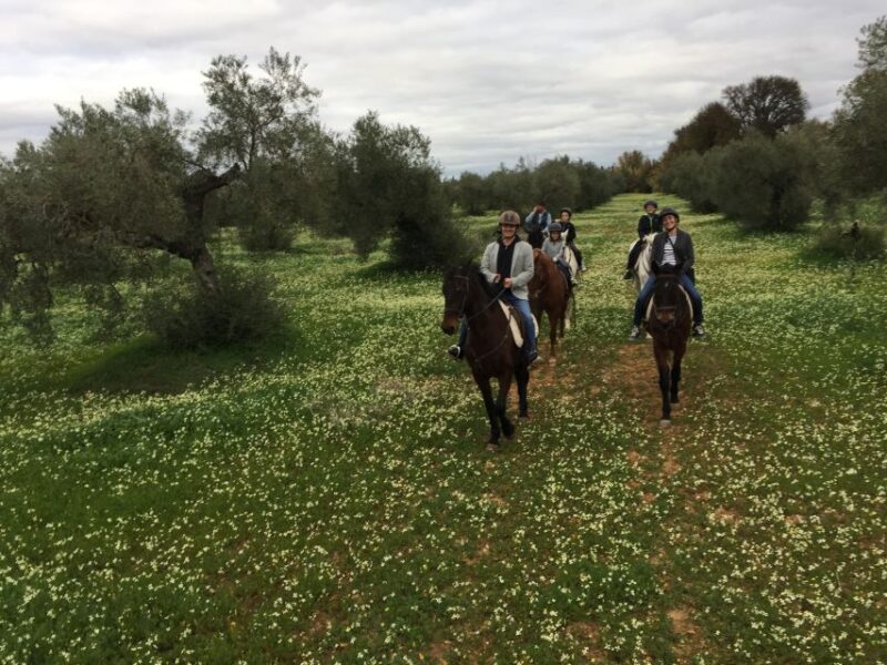 From Seville: Andalusian Horseback Ride - Practical Tips for Travelers