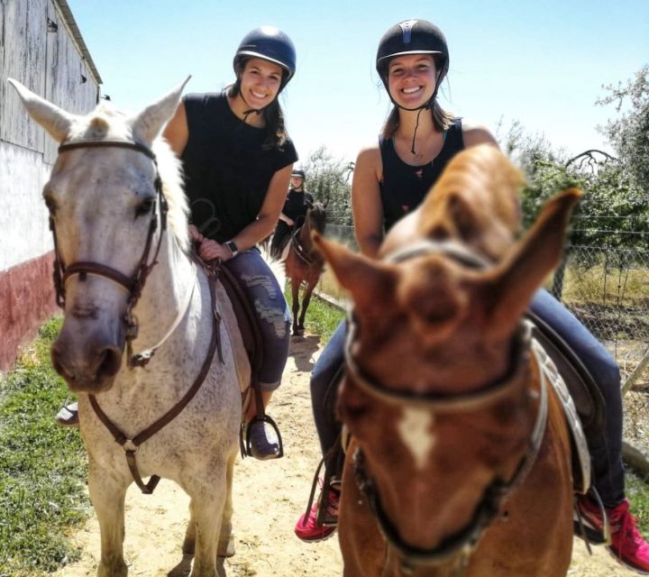 From Seville: Andalusian Horseback Ride - Who Should Consider This Tour?