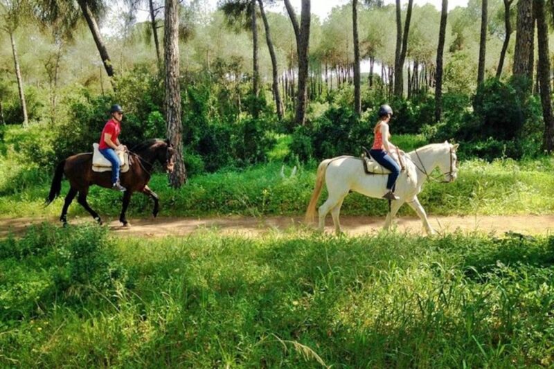 From Seville: Andalusian Horseback Ride - The Sum Up