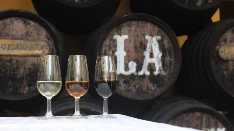 From Seville: Cadiz & Jerez Sherry Tasting Day Trip - Who Would Love This Tour?