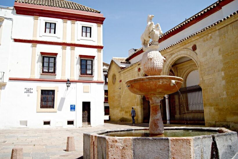 From Seville: Cordoba and its Mosque Guided Day Trip - Exploring Cordoba in a Day: What You Can Expect