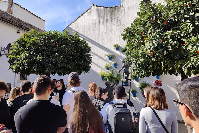 From Seville: Cordoba and Mosque-Cathedral Skip the Line - Practical Information for Travelers