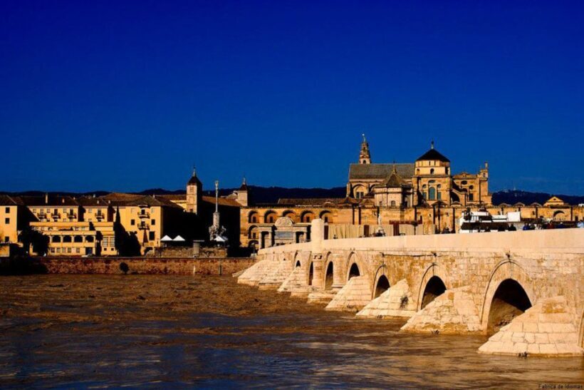 From Seville: Cordoba Full-Day Tour with Tickets Included - Free Time and Additional Sights