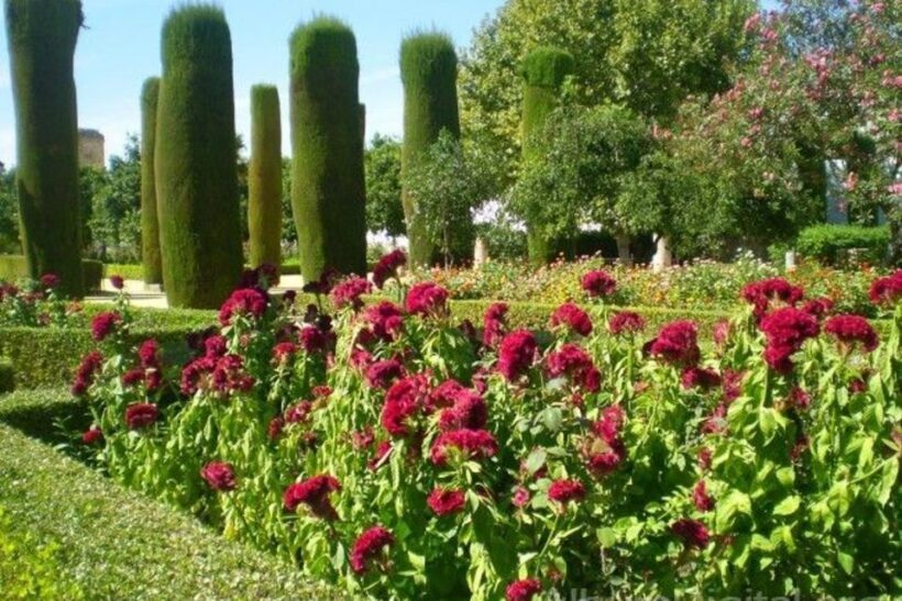 From Seville: Cordoba Full-Day Tour with Tickets Included - Returning to Seville