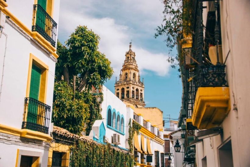 From Seville: Cordoba Full-Day Tour with Tickets Included - The Real-World Experience: What Travelers Say