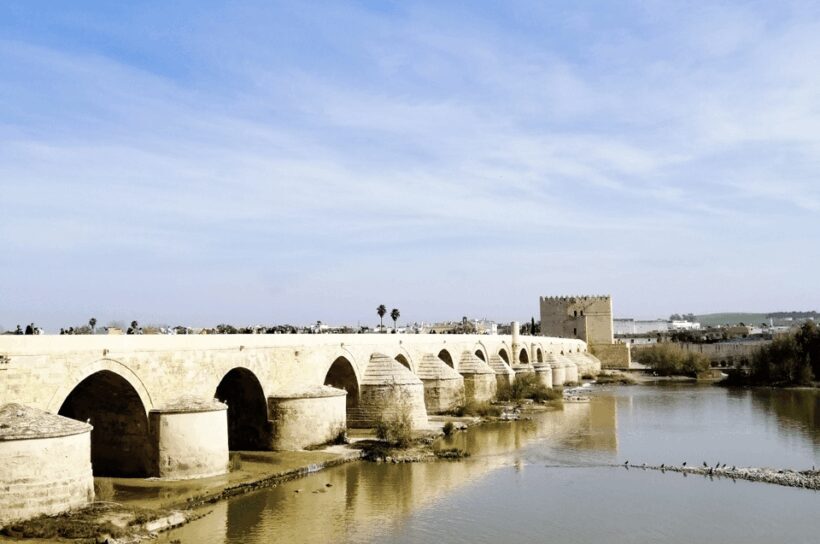 From Seville: Cordoba Private Day Trip - Free Time and Personal Exploration