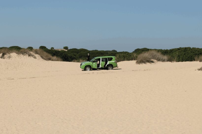 From Seville: Doñana, El Rocio, and Matalascañas Beach Tour - Who Will Love This Tour?