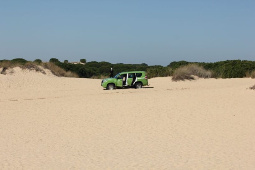 From Seville: Doñana, El Rocio, and Matalascañas Beach Tour - FAQs