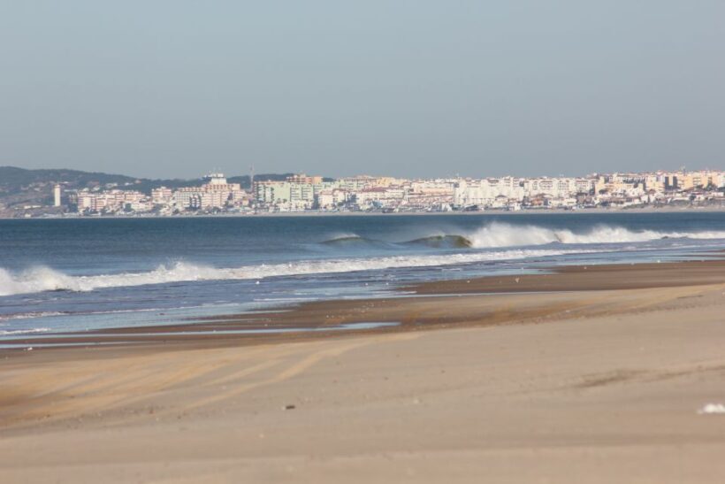 From Seville: Doñana National Park Full-Day Private Tour - An Overview of the Tour Experience
