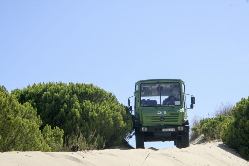 From Seville: Doñana Natural Park, El Rocio and Matalascañas - Exploring Doñana National Park: A Nature Lover’s Paradise
