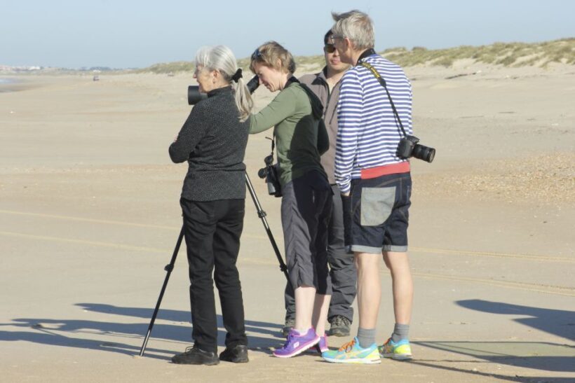 From Seville: Doñana Natural Park, El Rocio and Matalascañas - FAQ