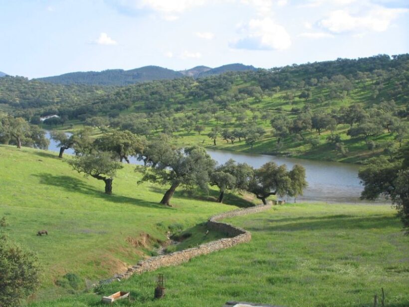 From Seville: Full-Day Aracena & Rio Tinto Mines Tour - The Highlights and Challenges