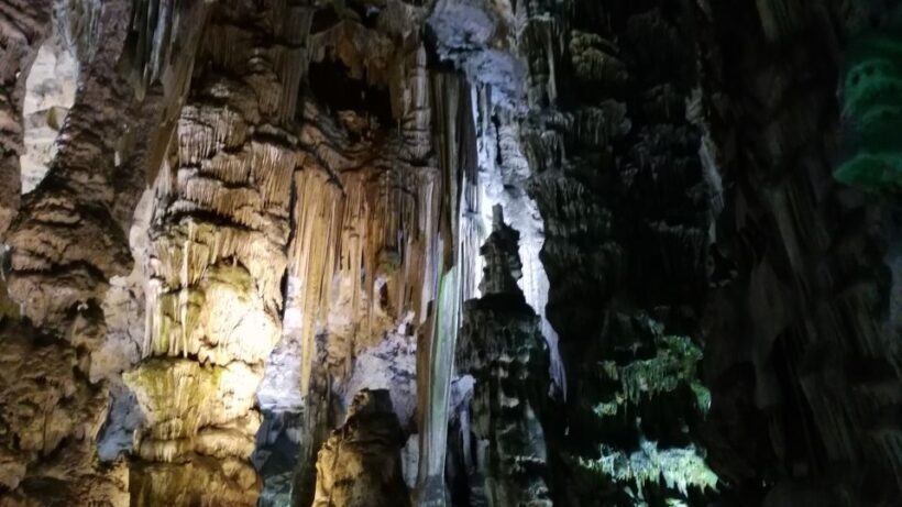 From Seville: Full-Day Private Tour of Gibraltar - Practical Details and Insights